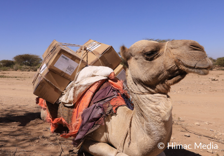 A camel library supported by books from Book Aid - Oxford University Press